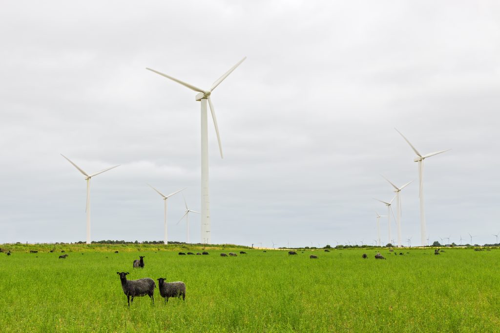 Peab to build foundations for Vattenfall’s largest land-based wind farm ...