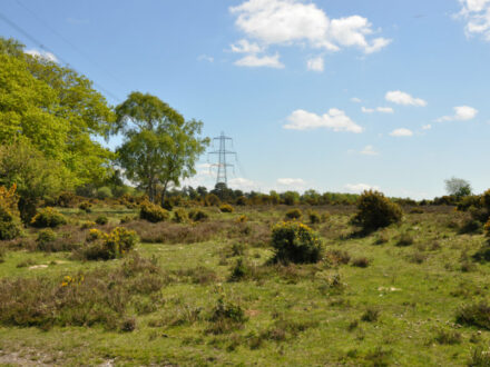 Legal issues halt New Forest pylon removal | Ground Engineering (GE)