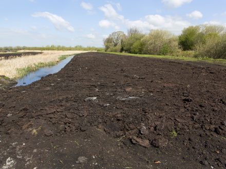 Peat ground investigation contract tendered | Ground Engineering (GE)