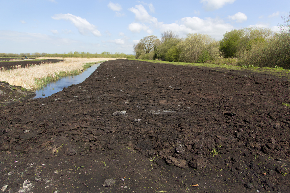 Peat ground investigation contract awarded | Ground Engineering
