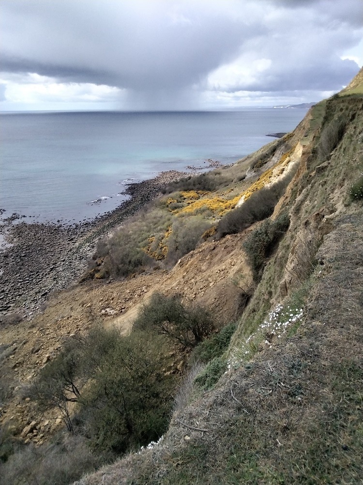 Two large ‘cliff falls’ along Dorset's Jurassic Coast | Ground Engineering