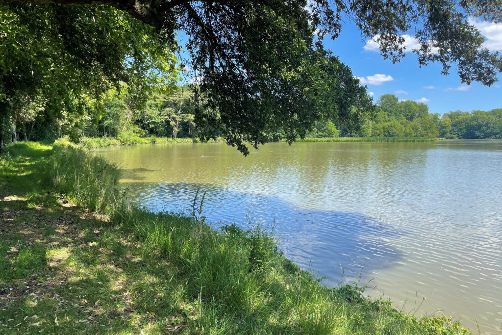 Reservoir preservation works start at iconic national trust property ...