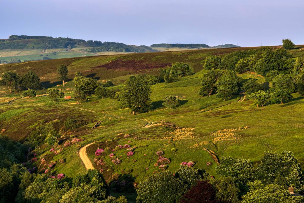 Final pylon removed for Peak District 'undergrounding' project | Ground ...
