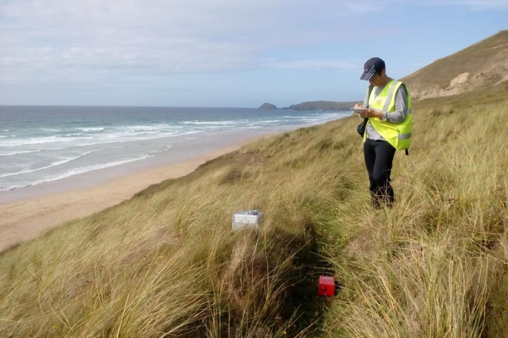 Coastal erosion: Tracking retreat with new modelling methods | Ground ...