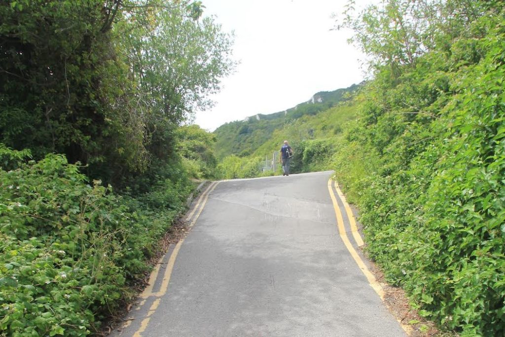Cracked road at Folkestone Warren suggests landslide ‘reactivated ...