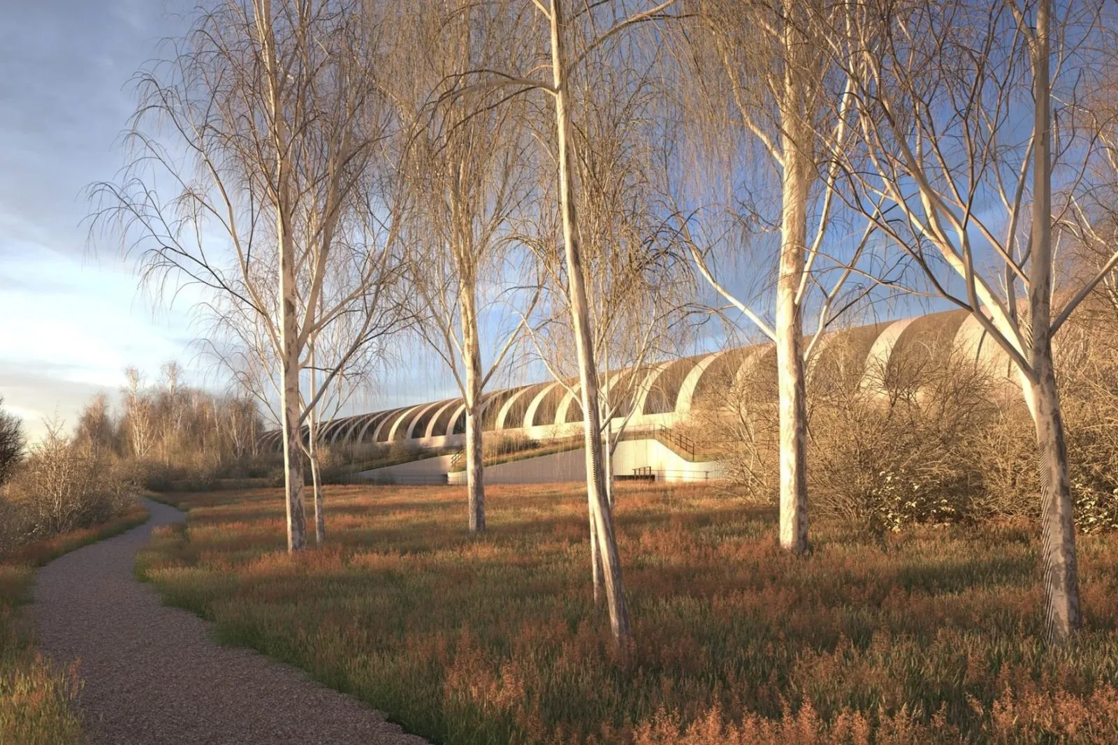 Bam terminates agreement with Danny Sullivan Group for HS2 bat tunnel ...