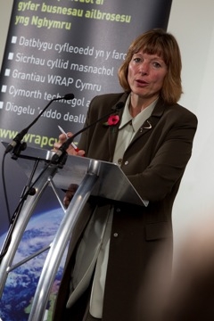 Welsh environment minister calls on “entrepreneurial spirit” to design ...