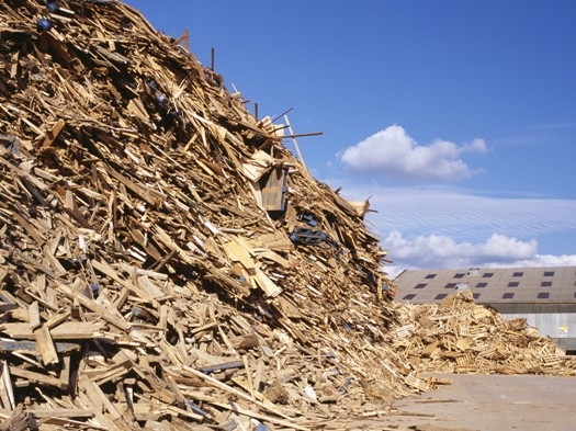 Wood waste exports increase six-fold | MRW