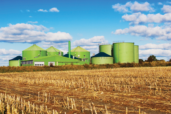 Review of biogas-to-grid tariffs launched | MRW