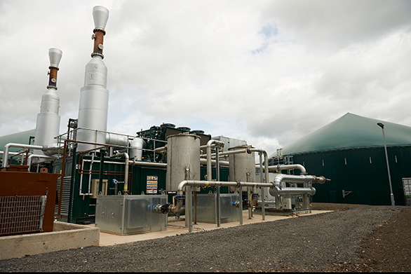 Agrivert negotiates new funding package | MRW