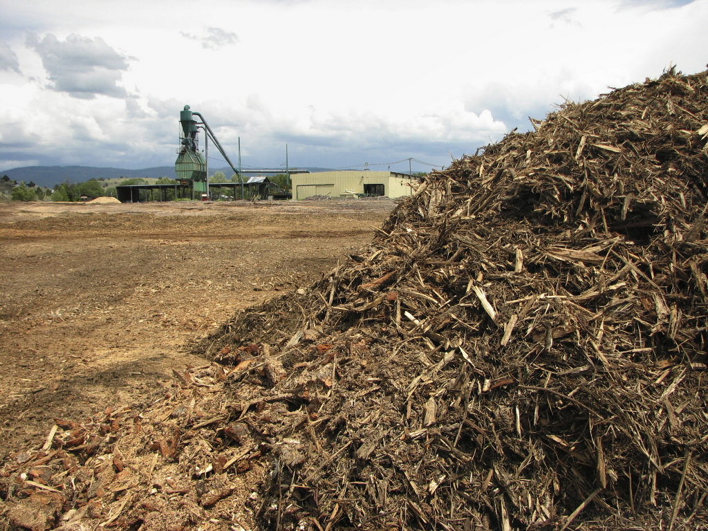 GIB invests in first waste wood gasification plant | MRW