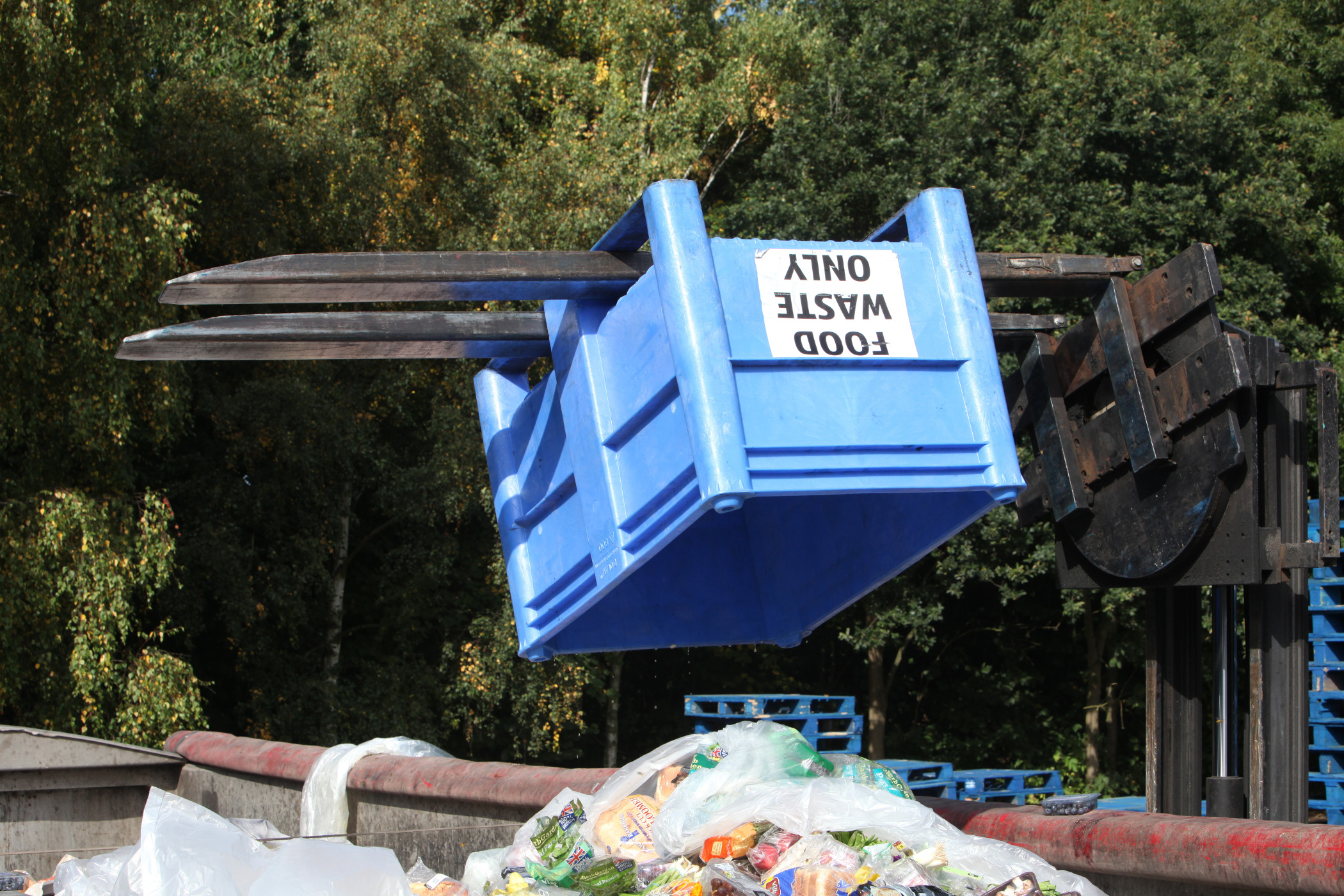 Dolav, Volkswagen, Middleton, Olleco