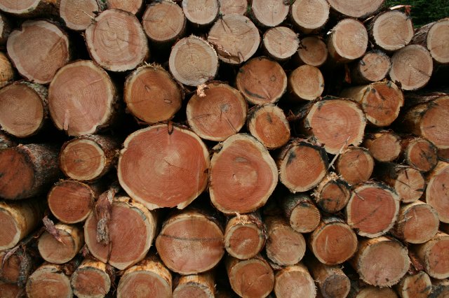 EA consults on storage of combustible materials | MRW