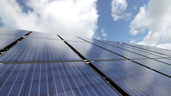 MYGroup invests £200,000 in solar panels at recycling hub | MRW