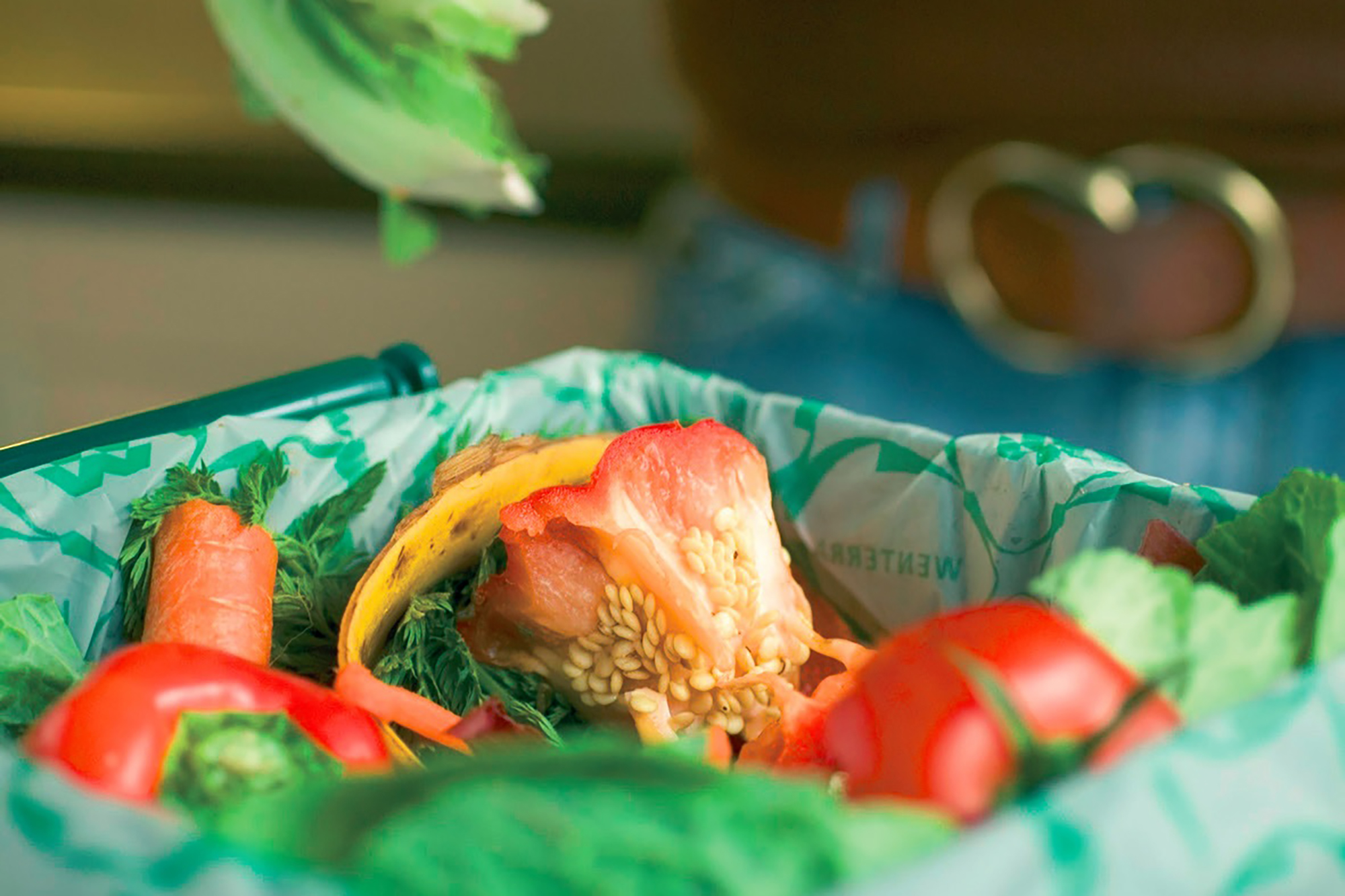 Separate food waste 'offers massive CO2 saving' | MRW