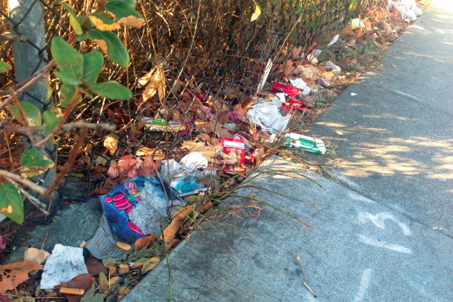 Eunomia models councils' litter costs | MRW