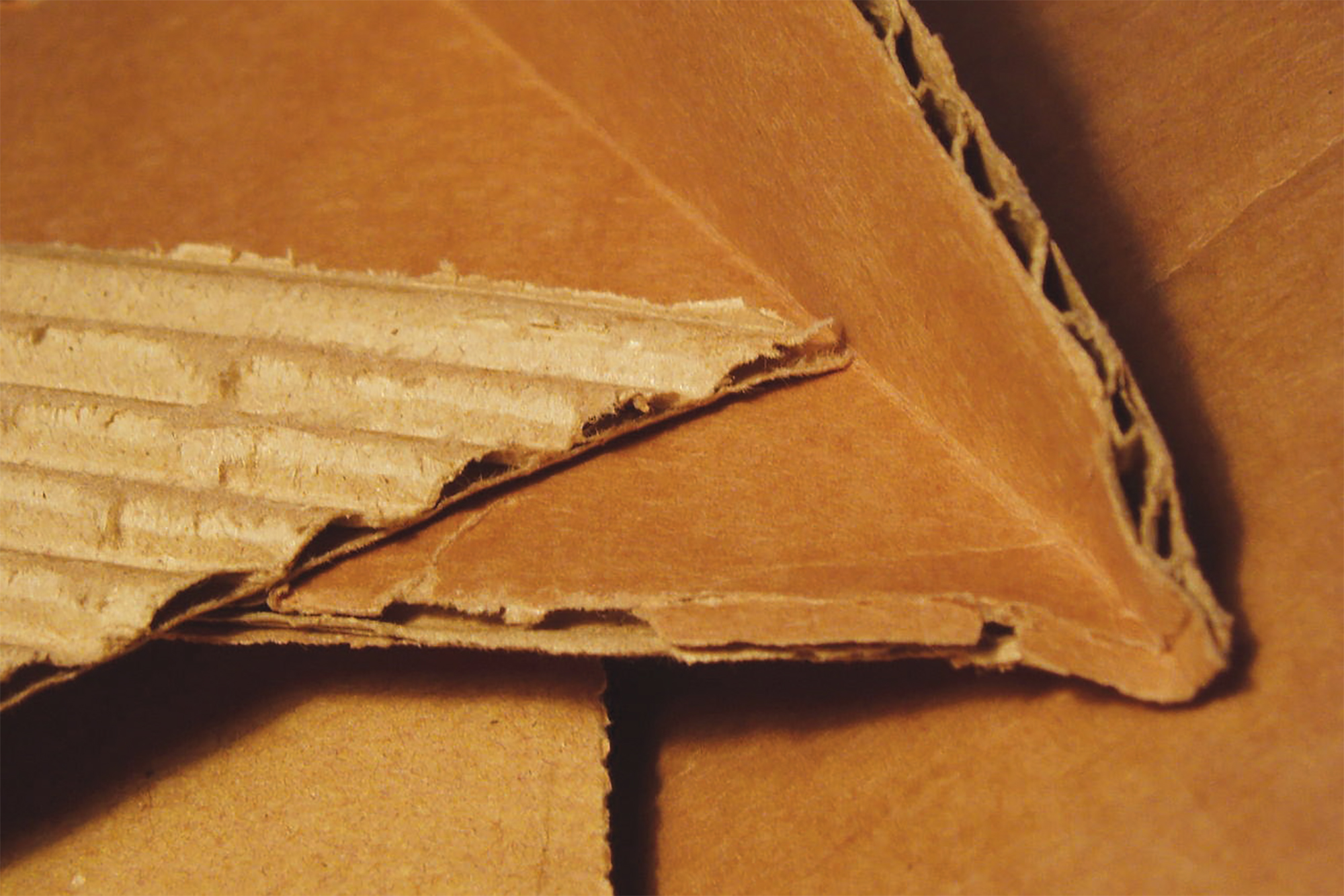 Material Focus: Recovered paper | MRW