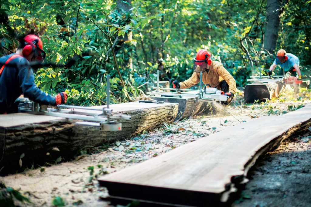 Breath of fresh air for wood workers | MRW