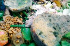 Health rules 'main cause' of bakery waste | MRW