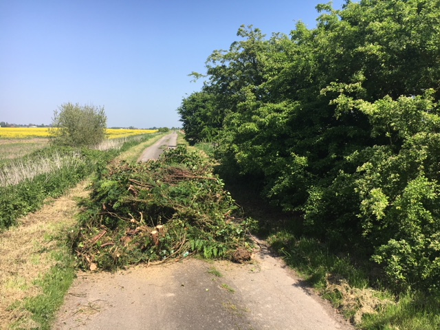 Litter Strategy progress revealed | MRW