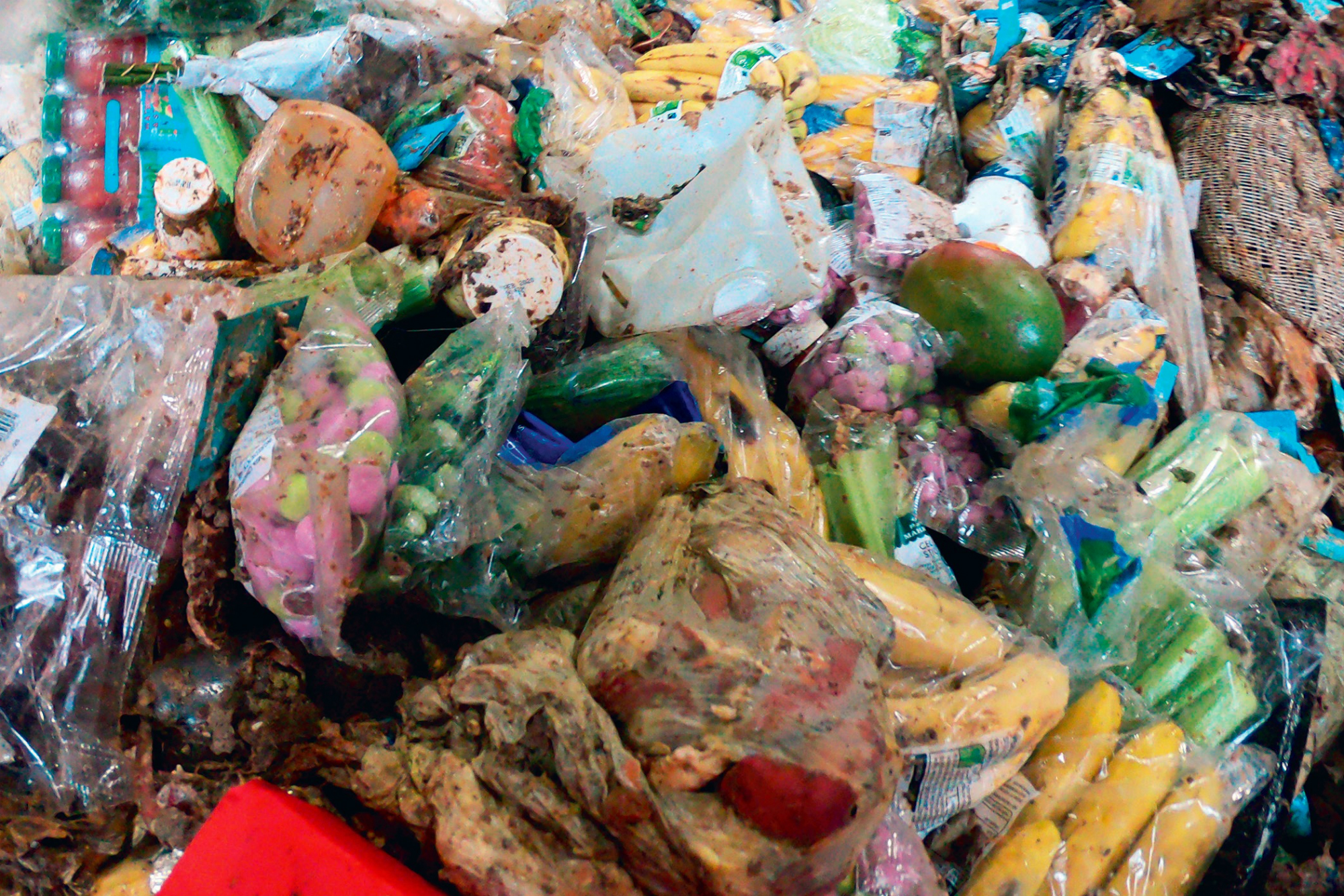 Food and its packaging go through recovery process | MRW