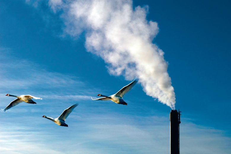 UK Climate watchdog analyses 2025 ‘progress’ on waste reform delivery | MRW