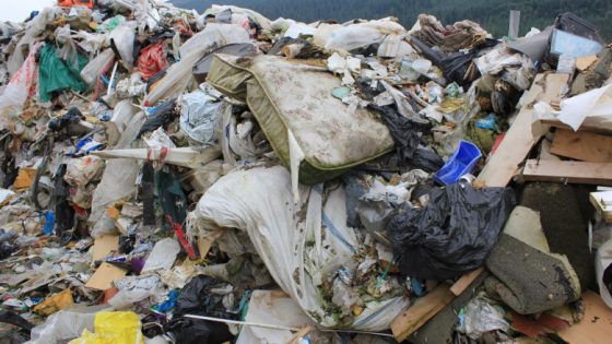 Crooks buried household and hazardous waste | MRW