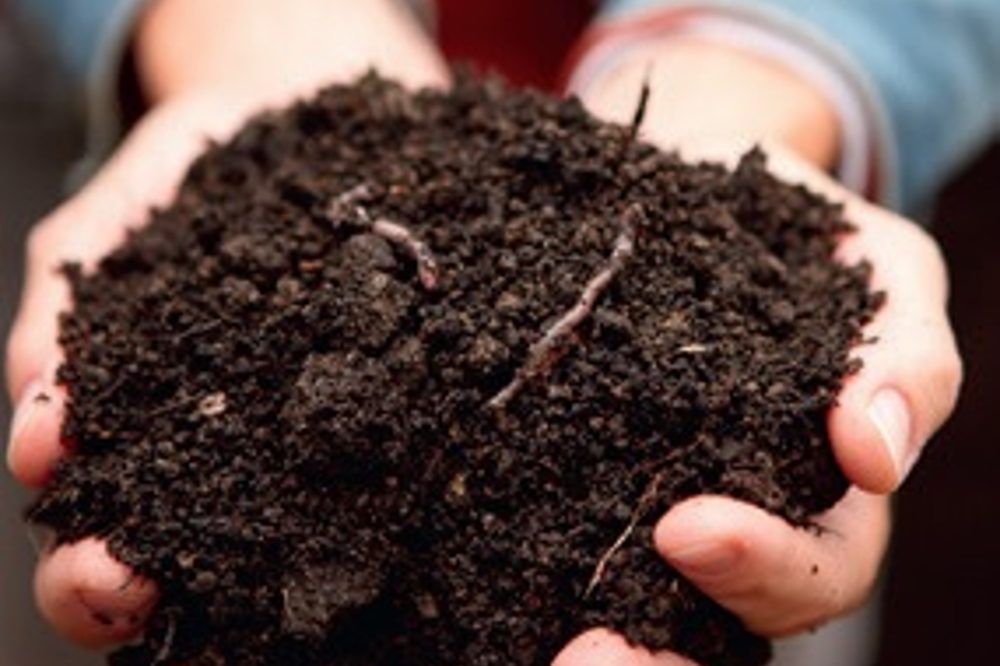 Standards met for plastic in compost | MRW