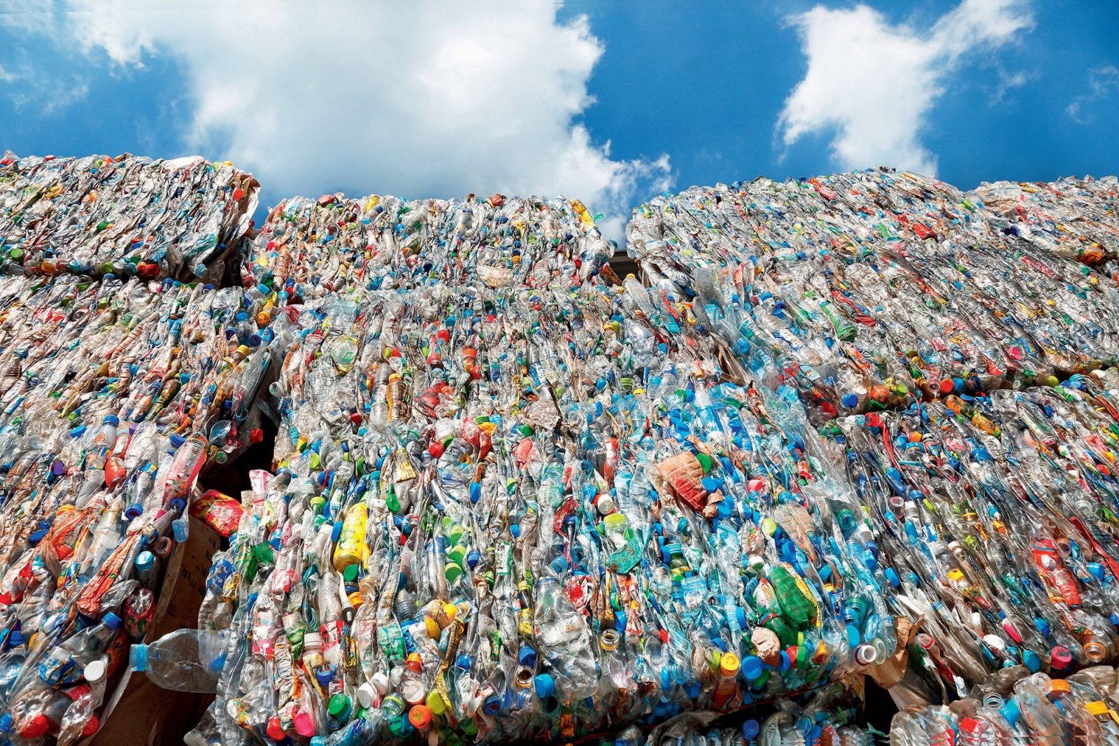 Professor to lead plastics pollution research | MRW