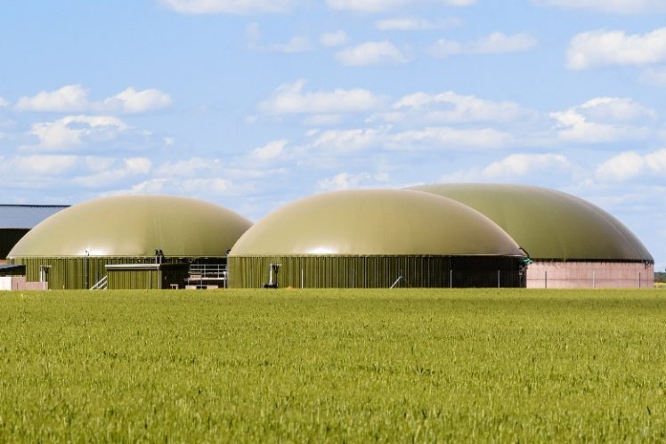 AD operator pays charity after waste offence | MRW