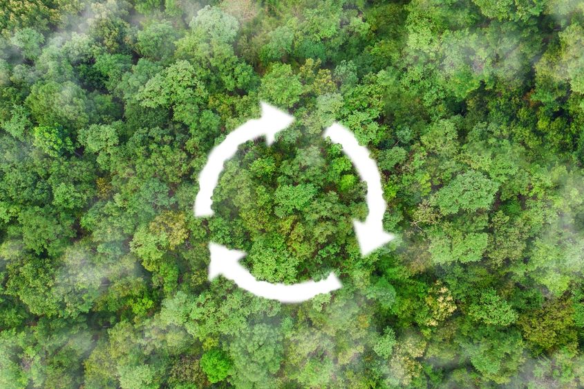 International Finance Corporation details $1bn circular support aims | MRW