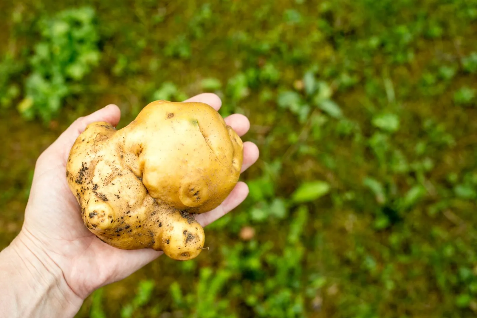 Food waste distribution charities to share £13.6m in Government funding ...