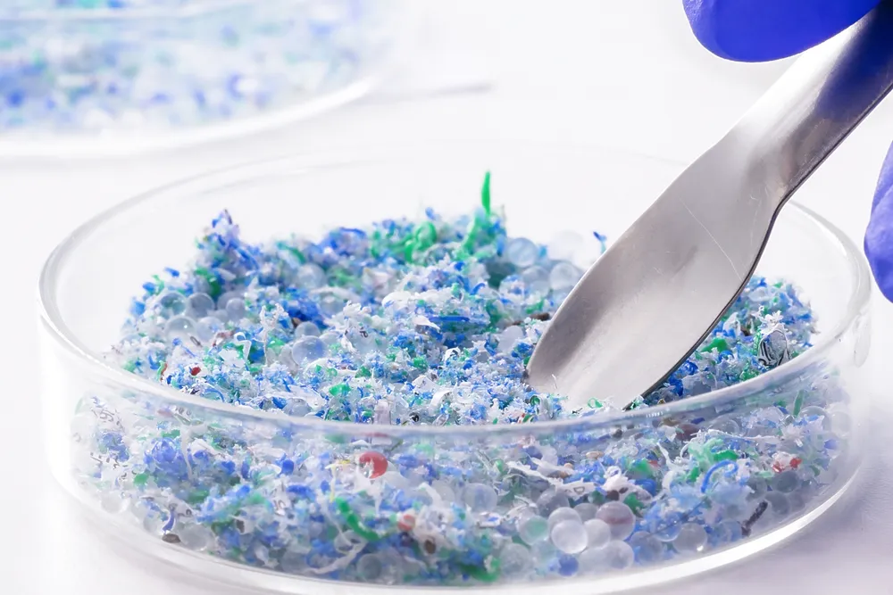 Microplastics study shows need for production curbs, say campaigners | MRW
