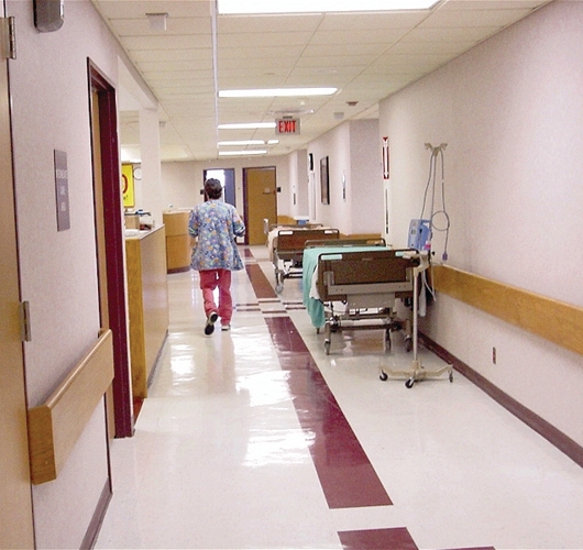 Hampstead's Royal Free enters phase 2 of global centre to tackle cancer ...