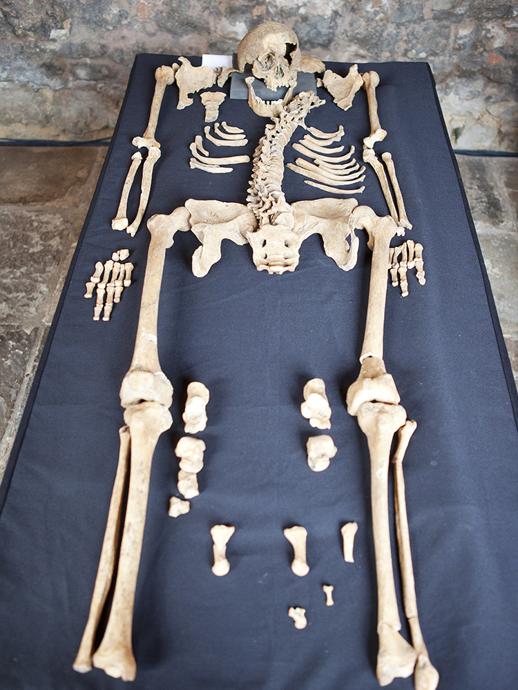 Crossrail Black Death skeletons pinpoint medieval burial pit ...