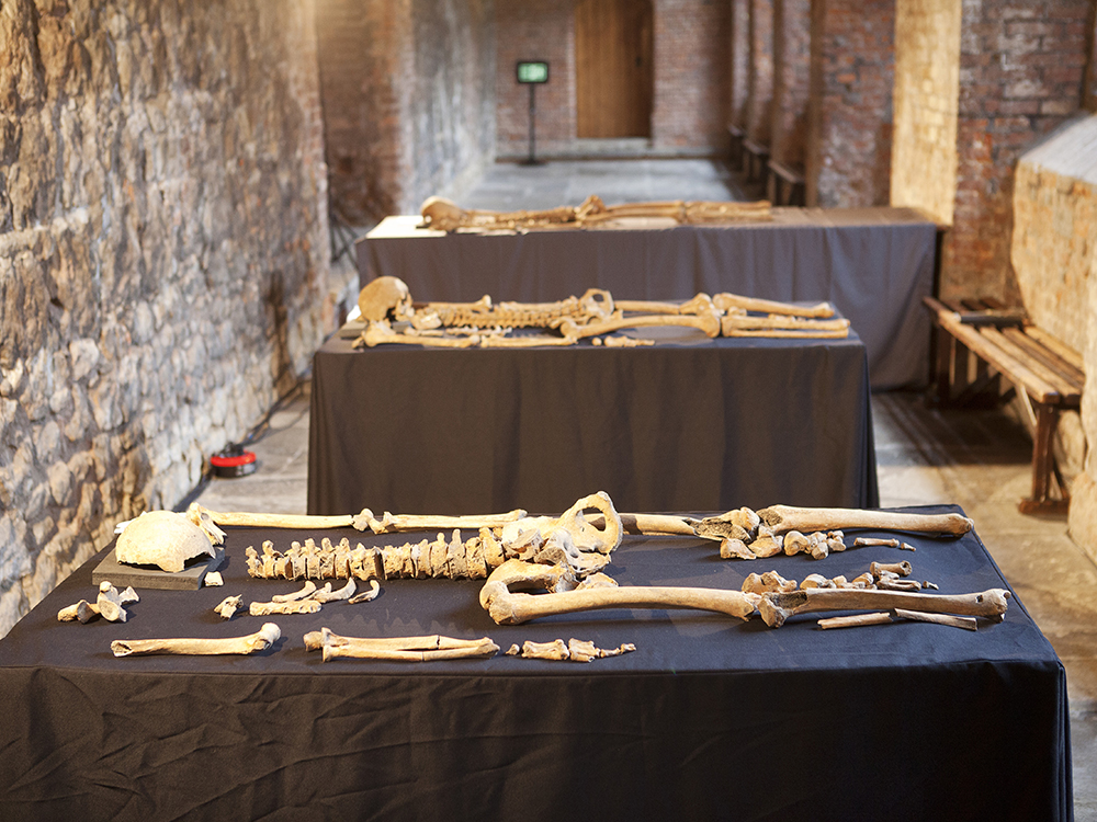 Crossrail Black Death skeletons pinpoint medieval burial pit ...
