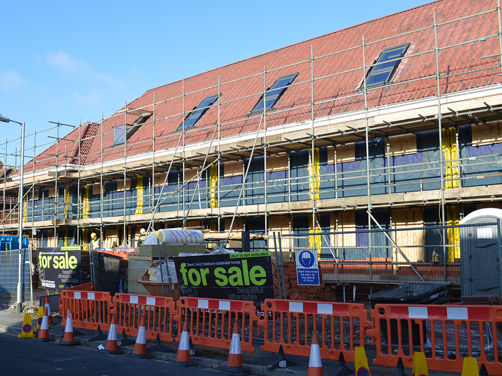 Beyond the bale: ModCell smashes stereotypes with straw solutions ...