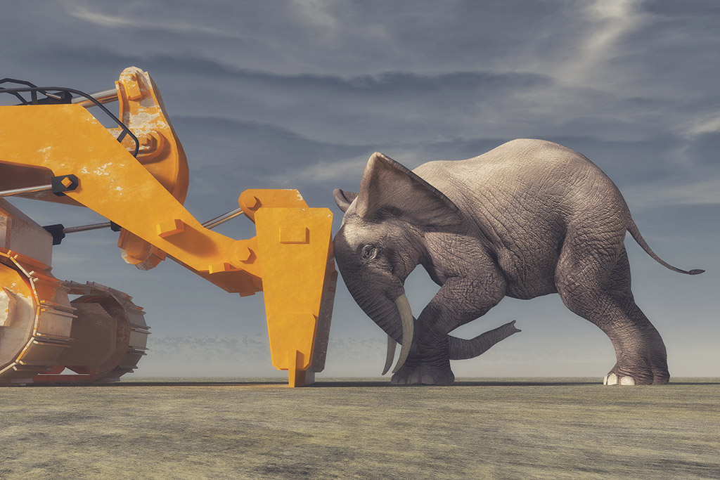 Social immobility: Is adding social value to bids a waste of time ...