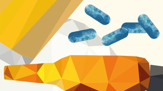 Loaded question: construction's drugs and alcohol problem ...