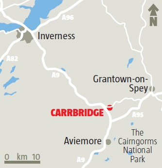 Highways special: Greener courses | New Civil Engineer