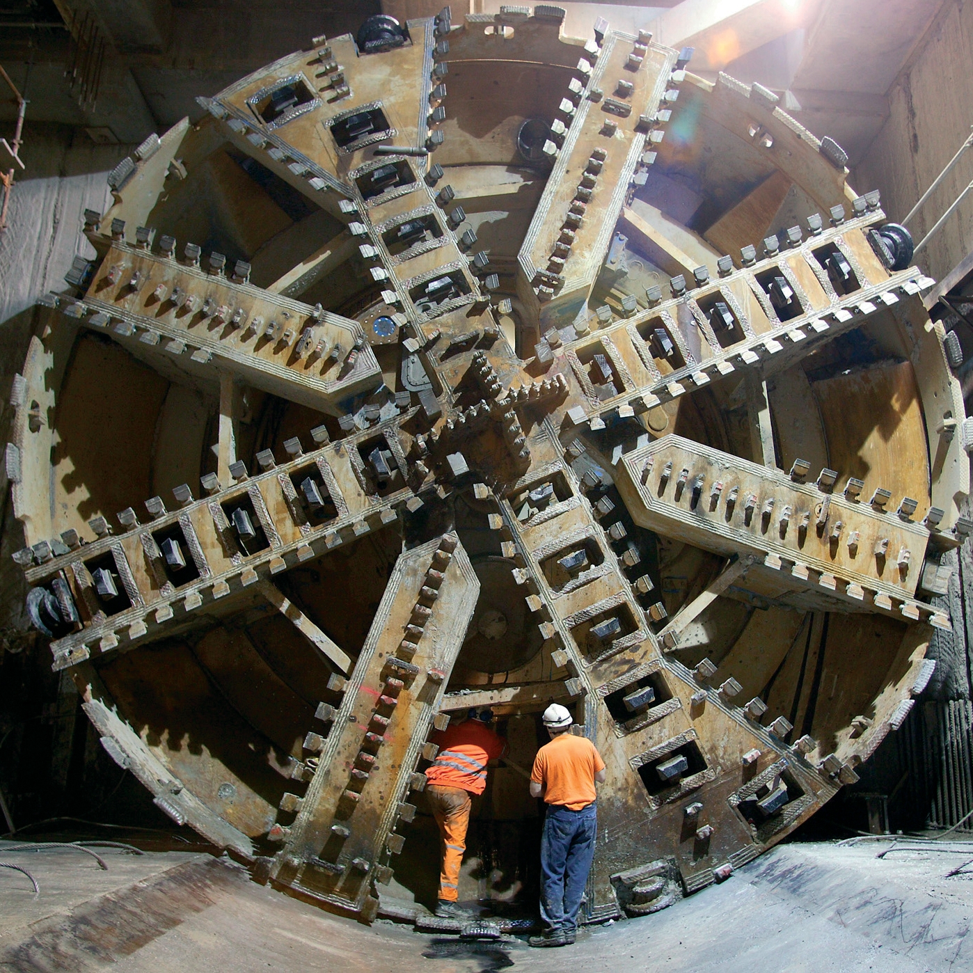 Insite: Cleaning up the Thames | New Civil Engineer