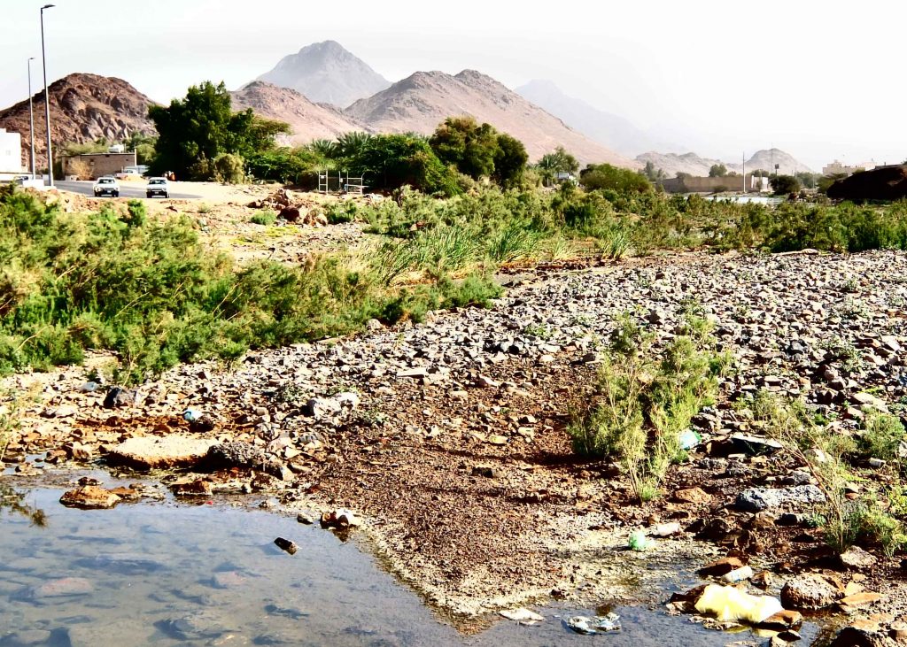 Saudi Arabia's water transformation | New Civil Engineer
