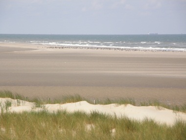 Bringing Dutch tidal defence model to the UK | New Civil Engineer