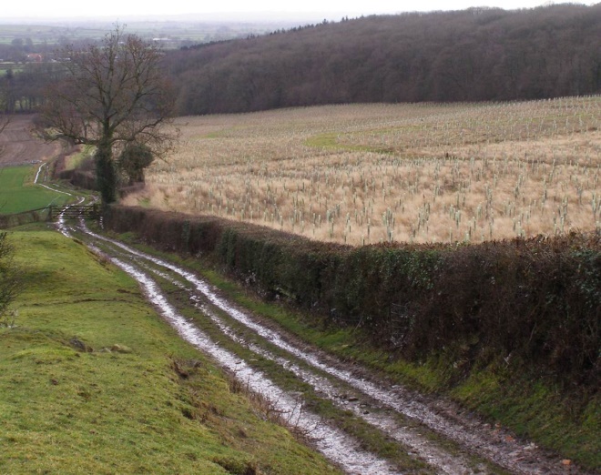 How soft engineering kept Pickering flood free during the winter storms