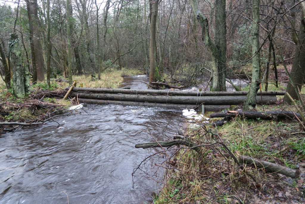 How soft engineering kept Pickering flood free during the winter storms