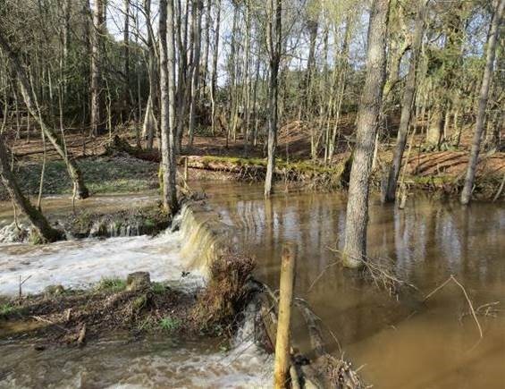 How soft engineering kept Pickering flood free during the winter storms