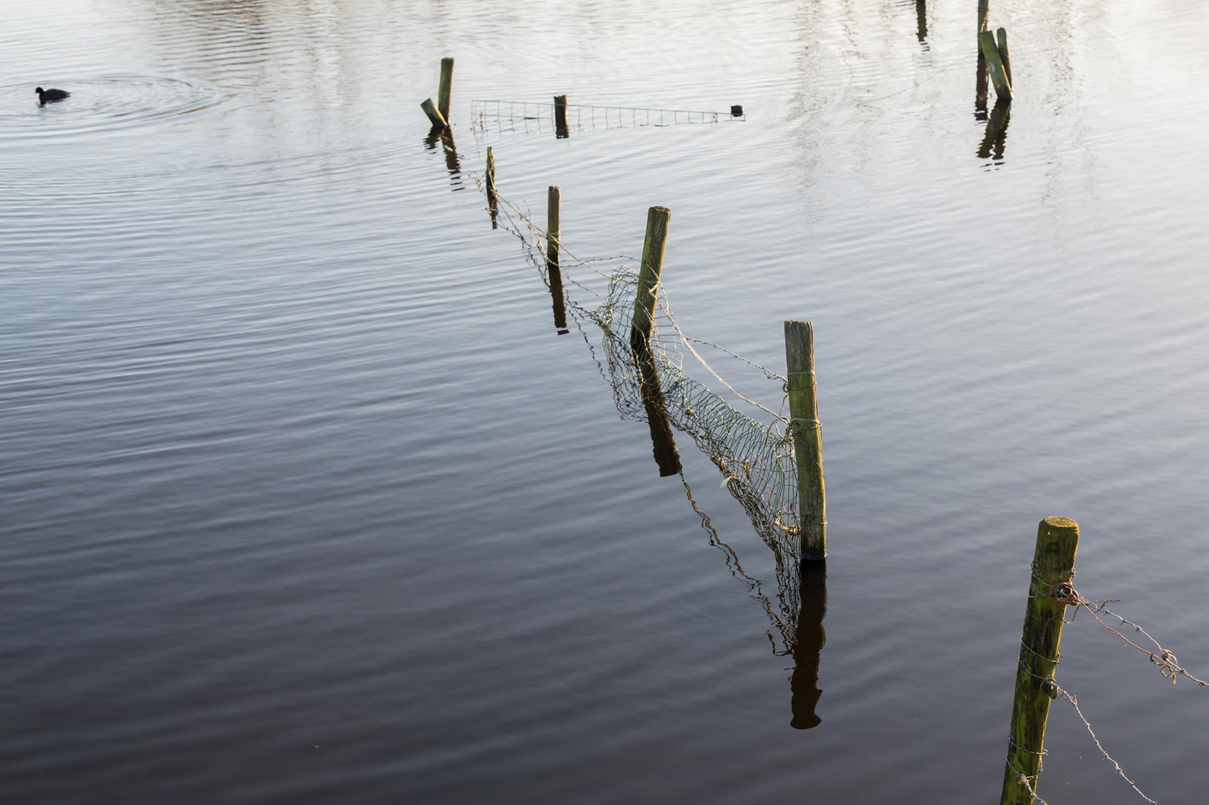 Major £18M flood defence scheme underway | New Civil Engineer