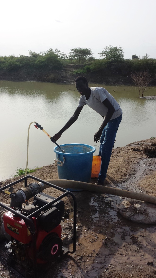 Drinking from the swamp | Engineering a sanitary water supply in South ...