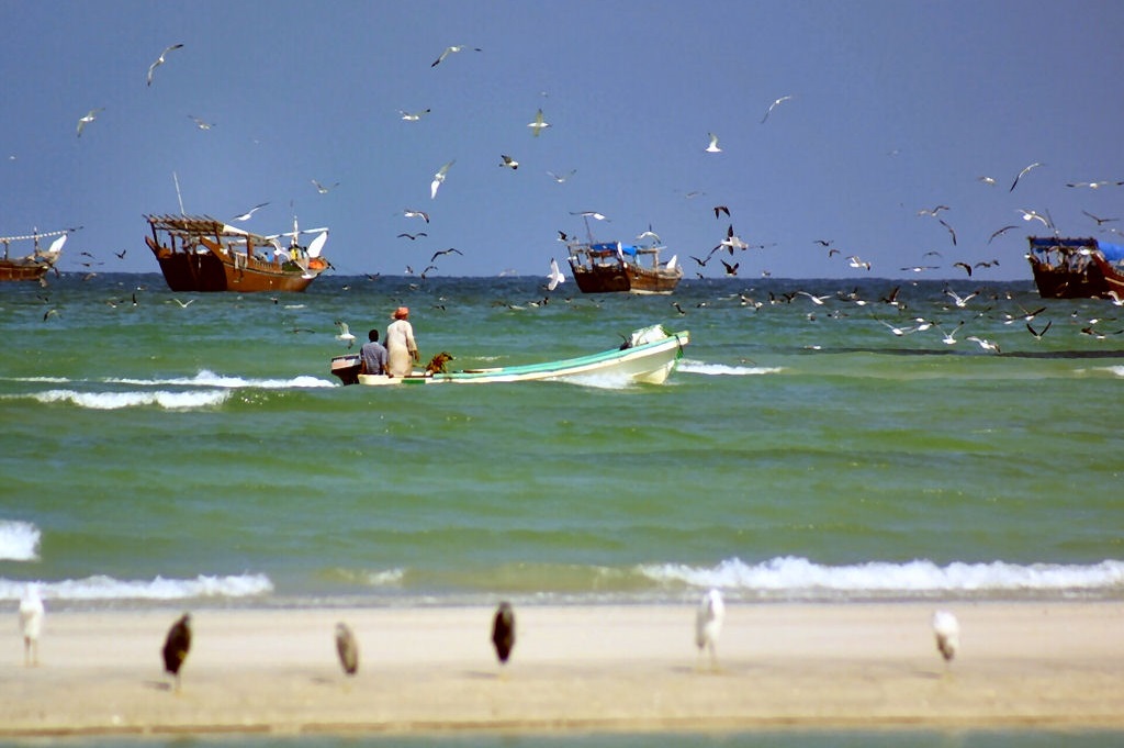 Atkins to masterplan Oman city expansion | New Civil Engineer