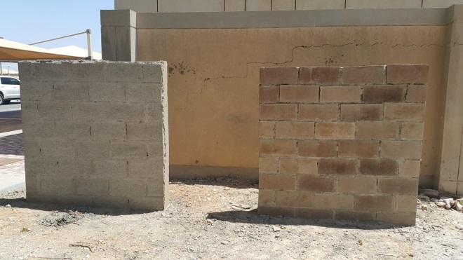 Building block using vegetable oil launched | New Civil Engineer